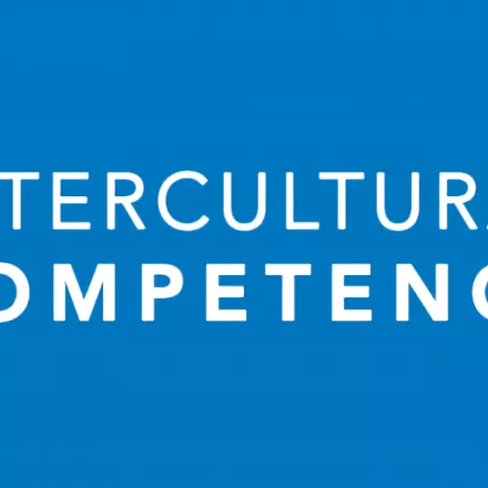 Intercultural Competency Graphics | InterVarsity